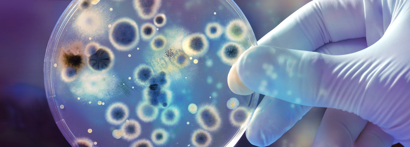 Resources on Medical Mycology Topics | The AFWG