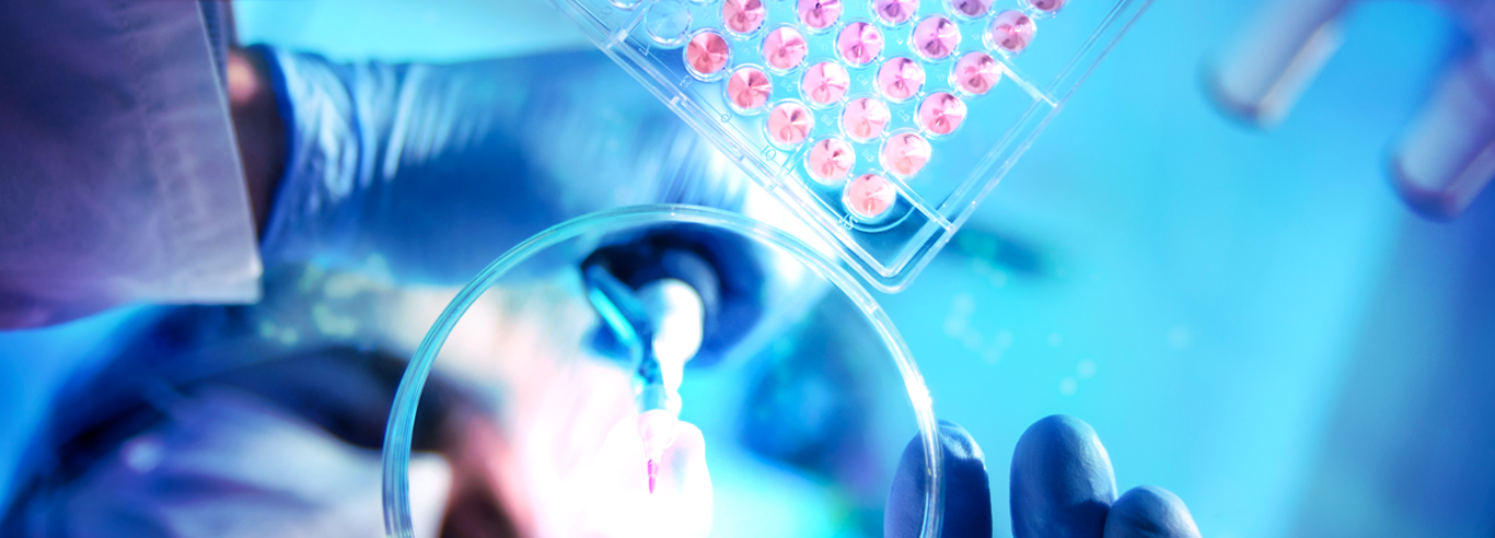 Mycology Laboratory Foundation Training | The AFWG