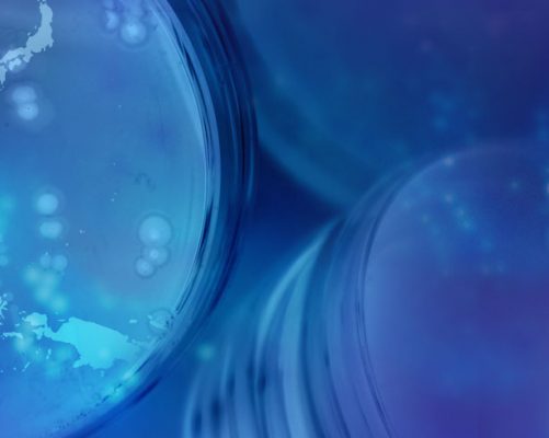 The AFWG: Advancing Knowledge of Invasive Fungal Infections